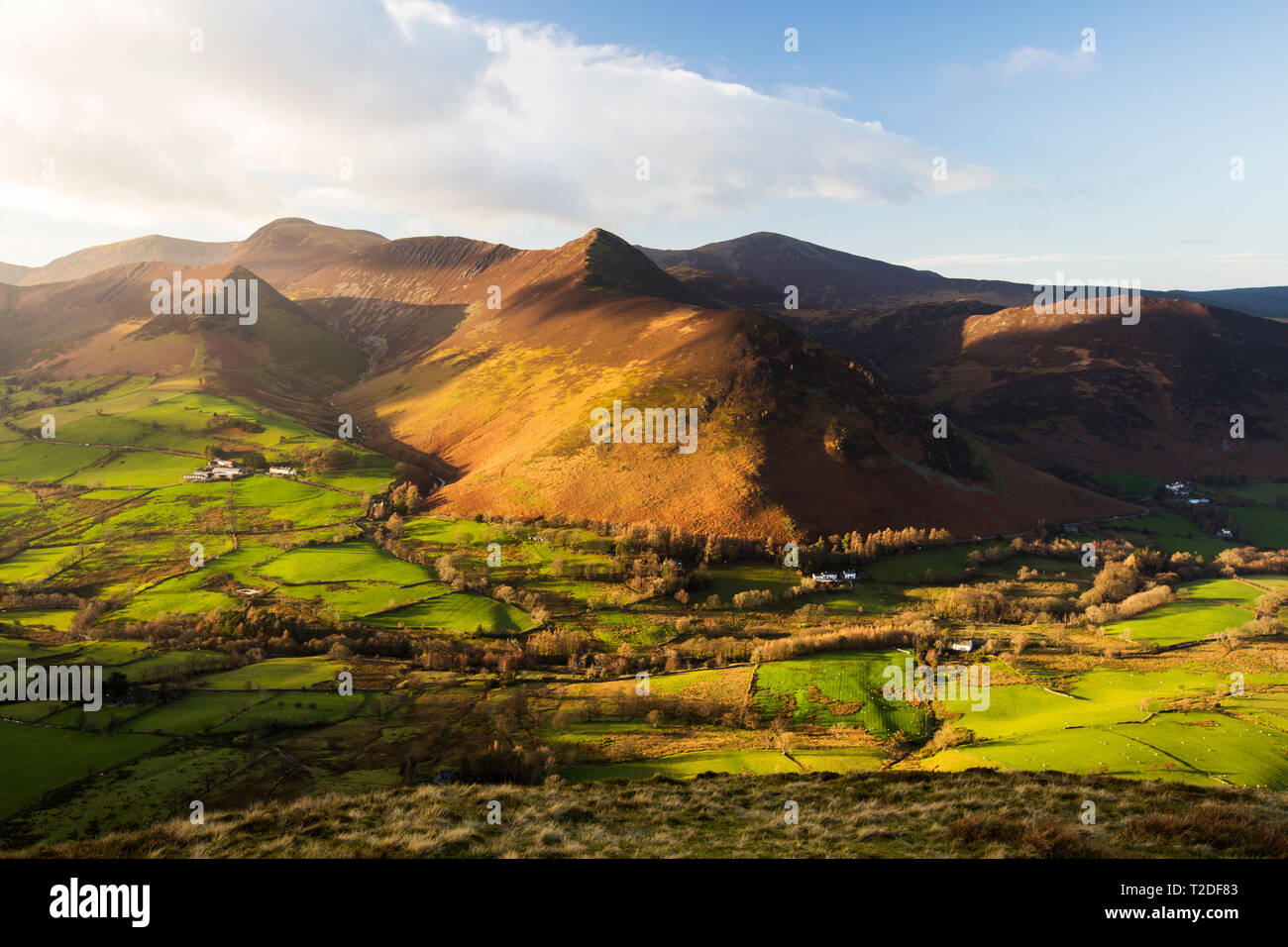 Looking across the Newlands valley from Cat Bells towards the Causey ...