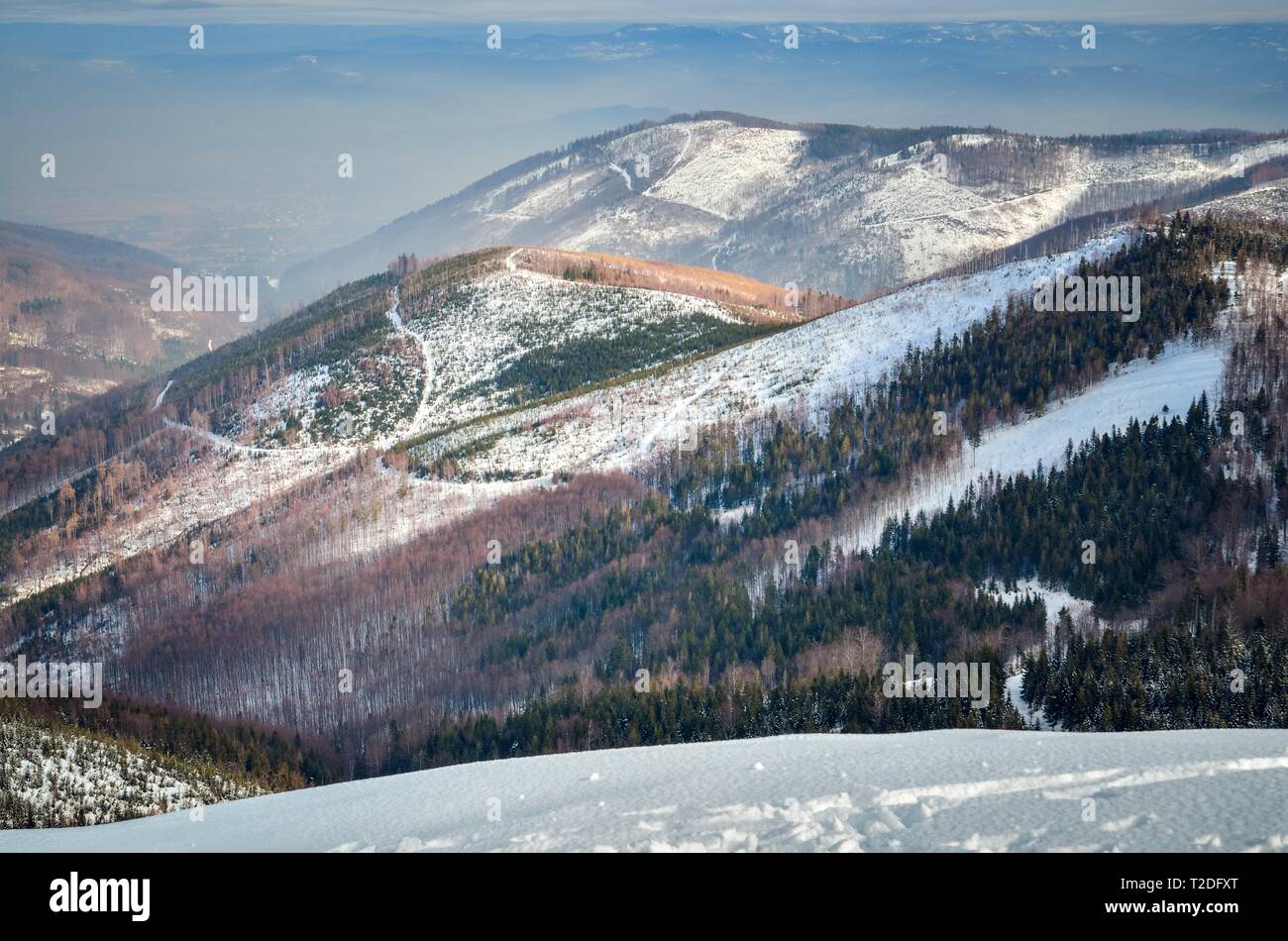 Beautiful winter fairytale landscape. Snow capped trees and slopes in ...