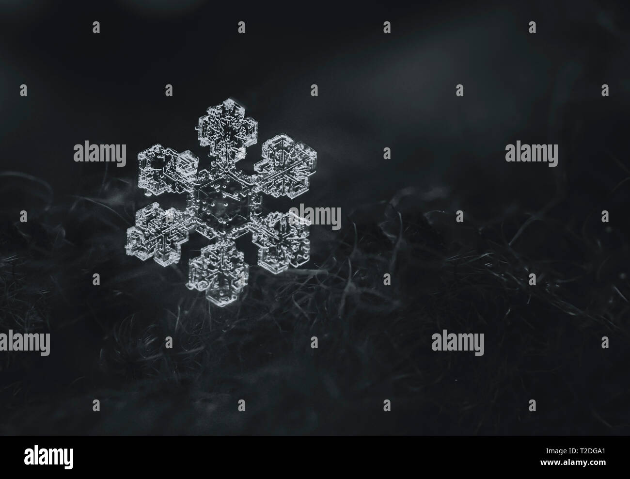 Macro frozen snowflake hi-res stock photography and images - Alamy