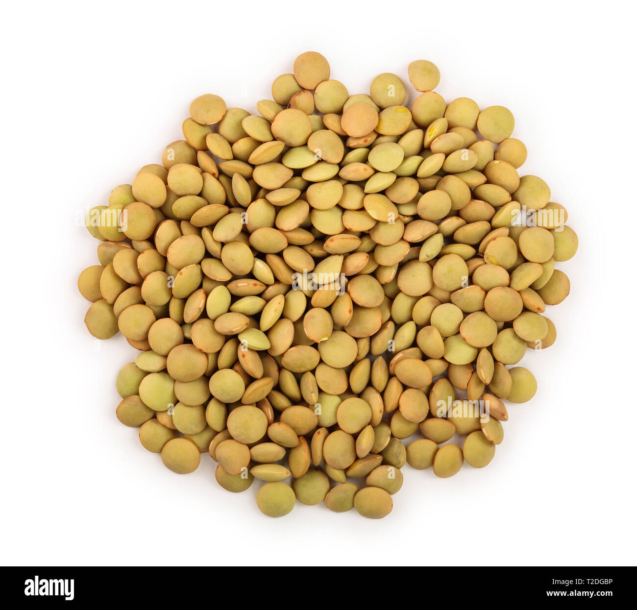 Green red lentils lens Cut Out Stock Images & Pictures - Alamy
