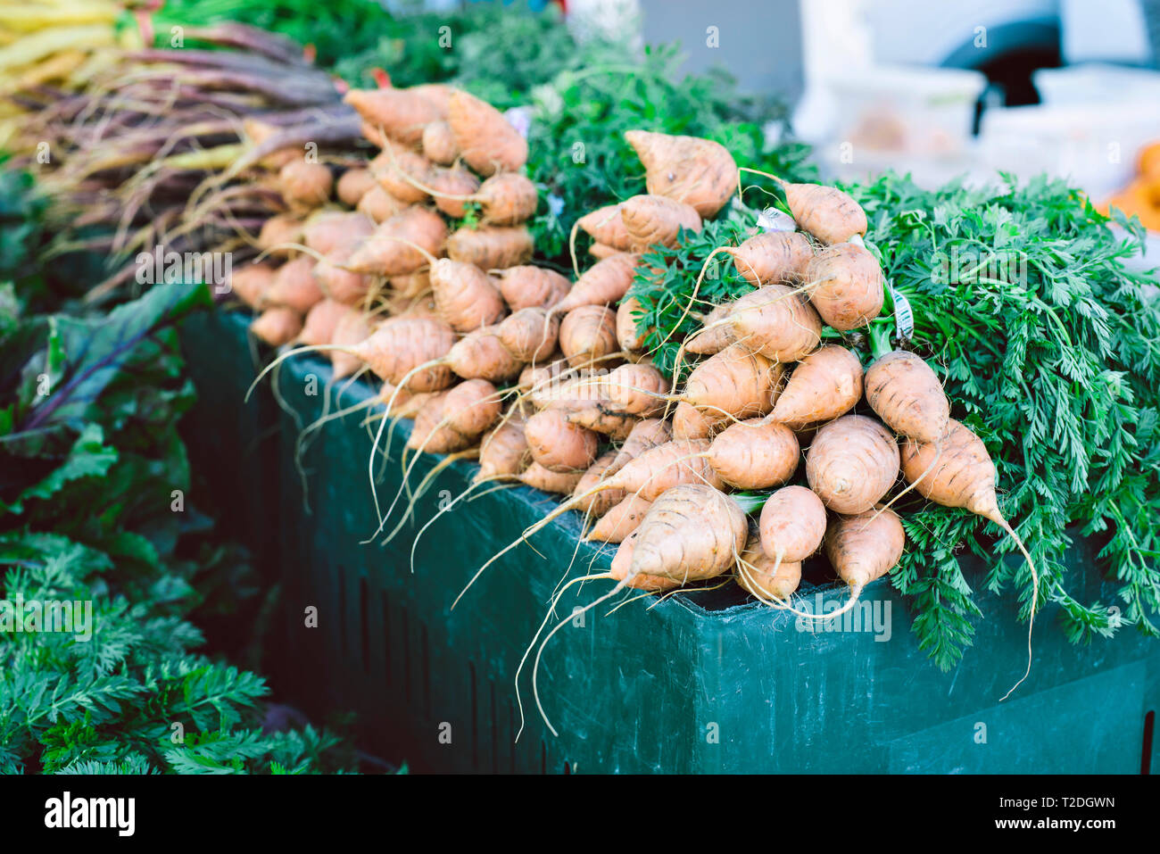 View of fresh organic produce bunched on a table in a farmers market ...