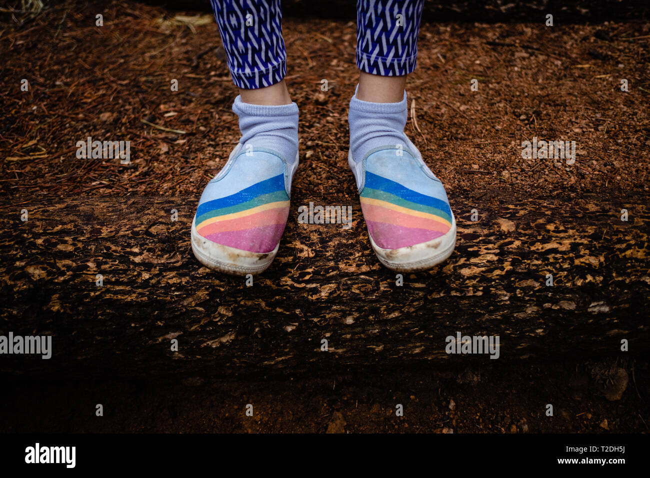 Girl standing on log hi-res stock photography and images - Alamy