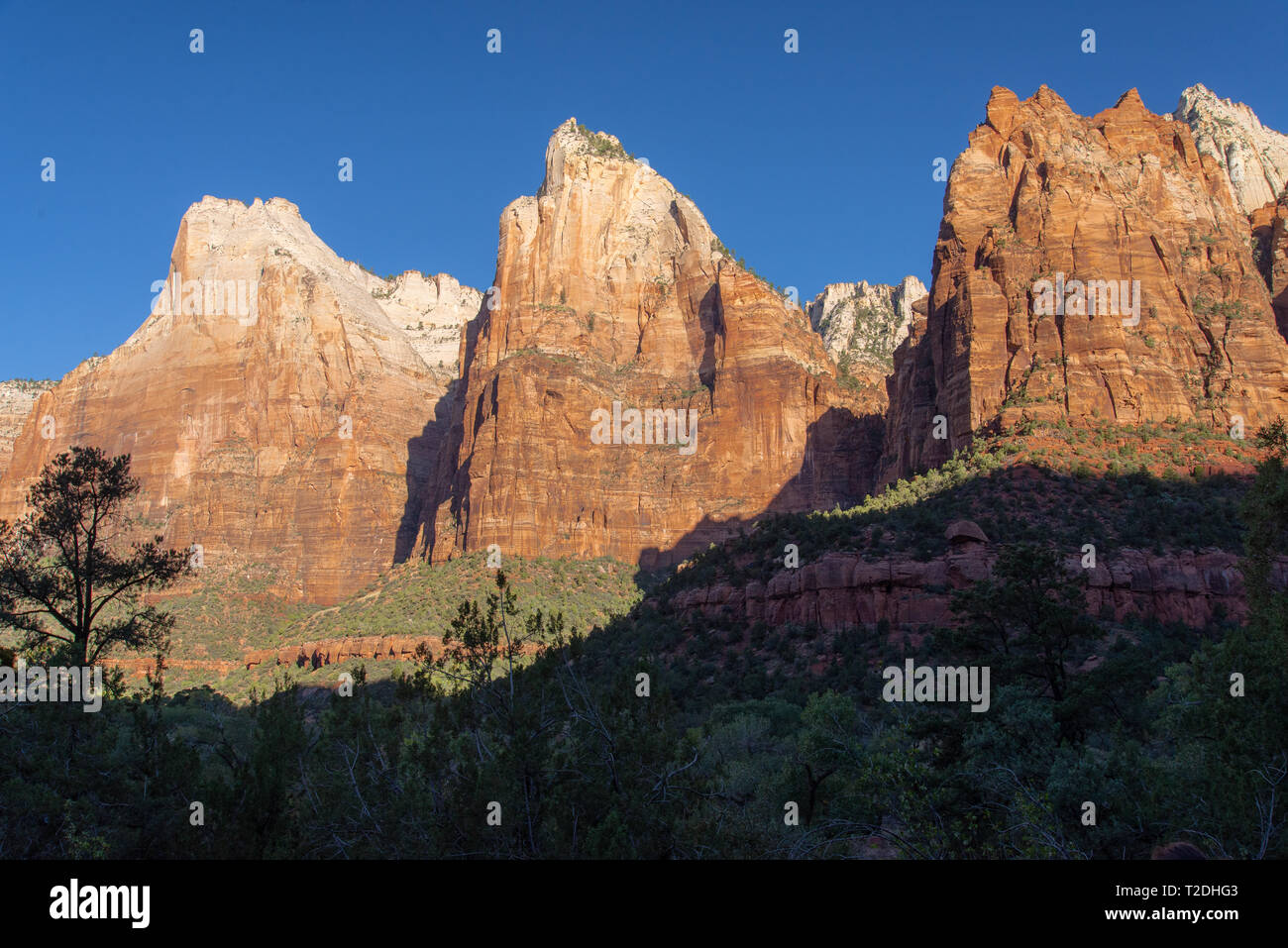 Patriarchs abraham isaac jacob hi-res stock photography and images - Alamy