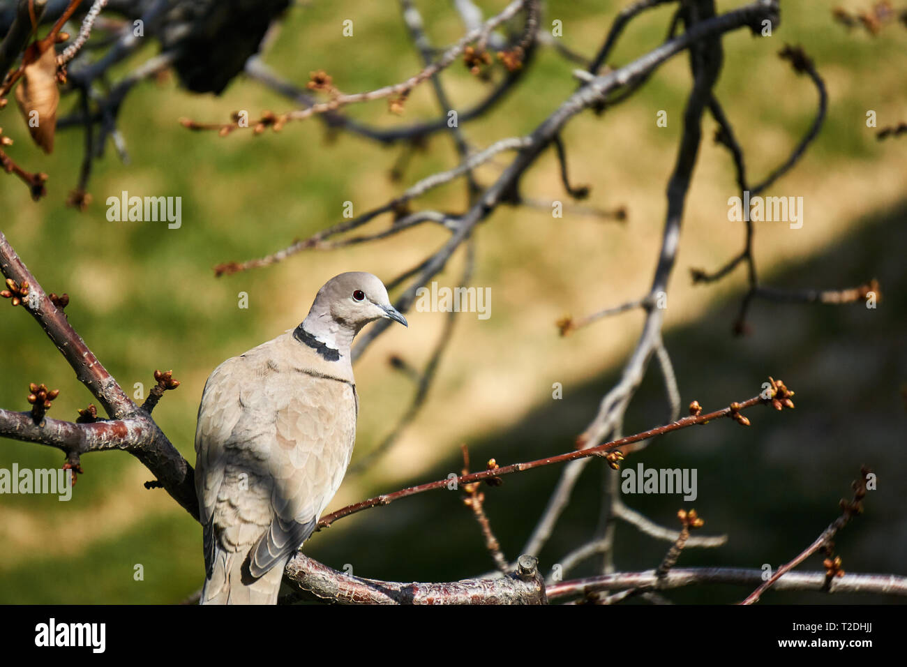 Usa, utah, orem hi-res stock photography and images - Alamy