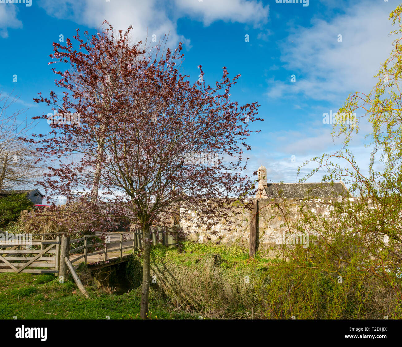 Morham hi-res stock photography and images - Alamy