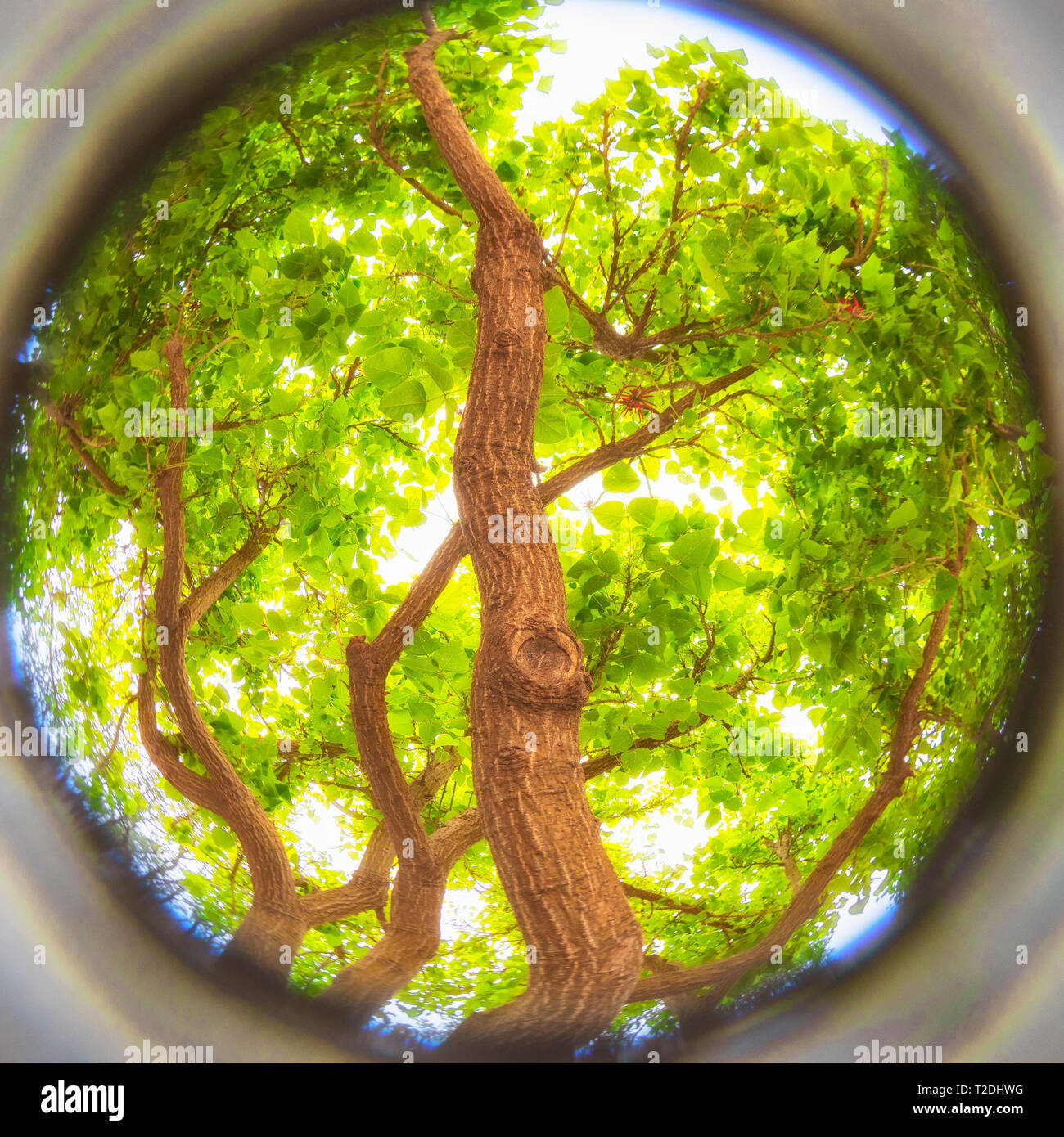 Bright springtime view hi-res stock photography and images - Alamy