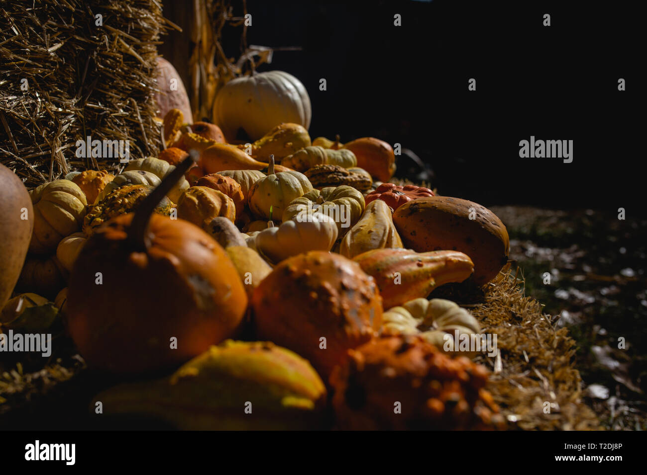 Gourds food hi-res stock photography and images - Alamy