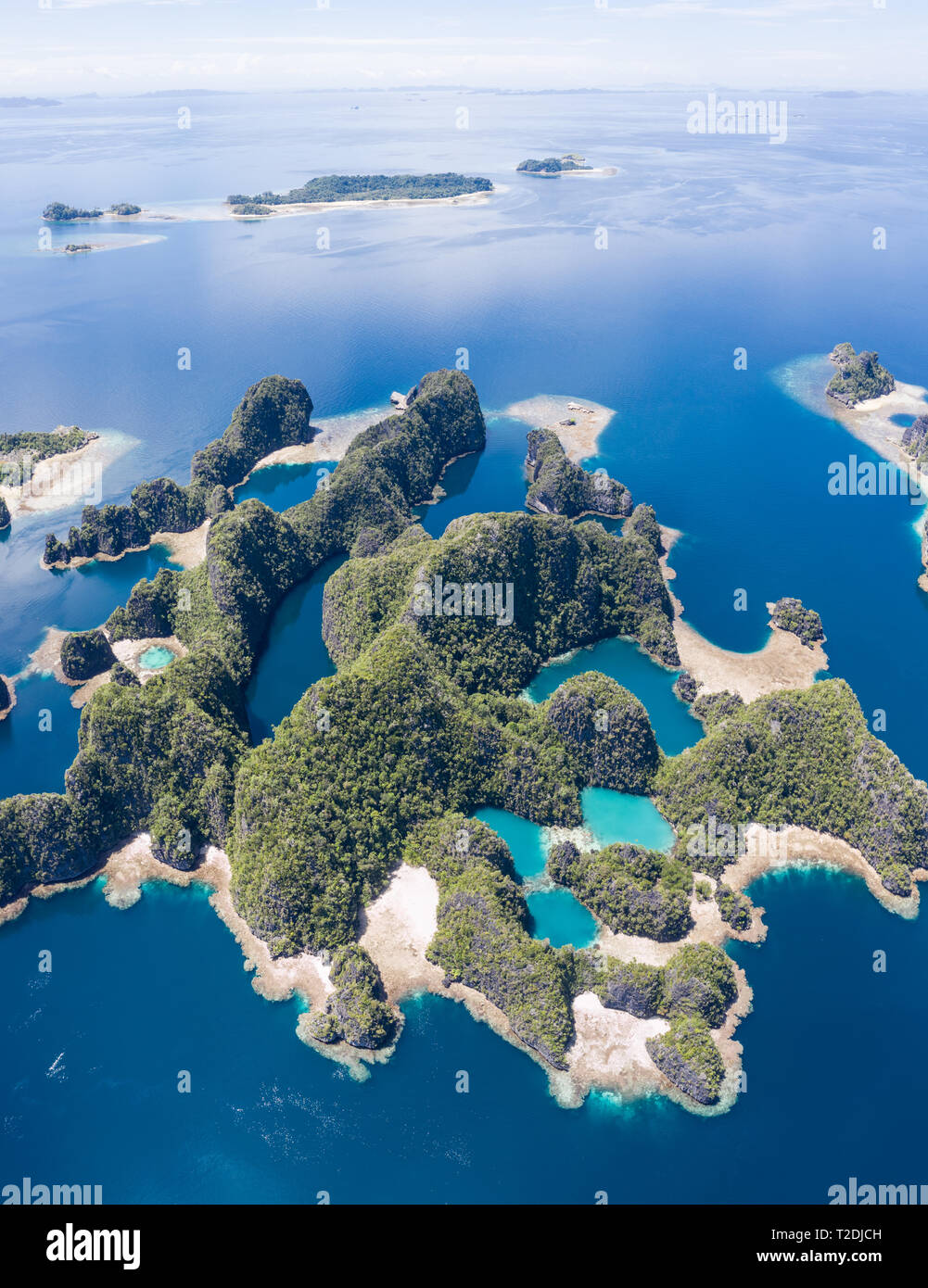 A bird's eye view shows healthy reefs surrounding remote limestone ...