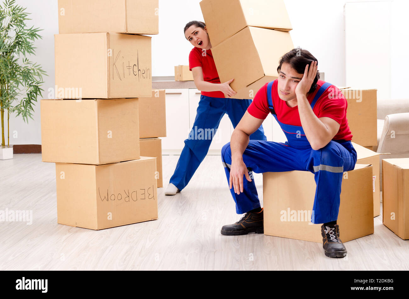 Professional movers doing home relocation Stock Photo - Alamy