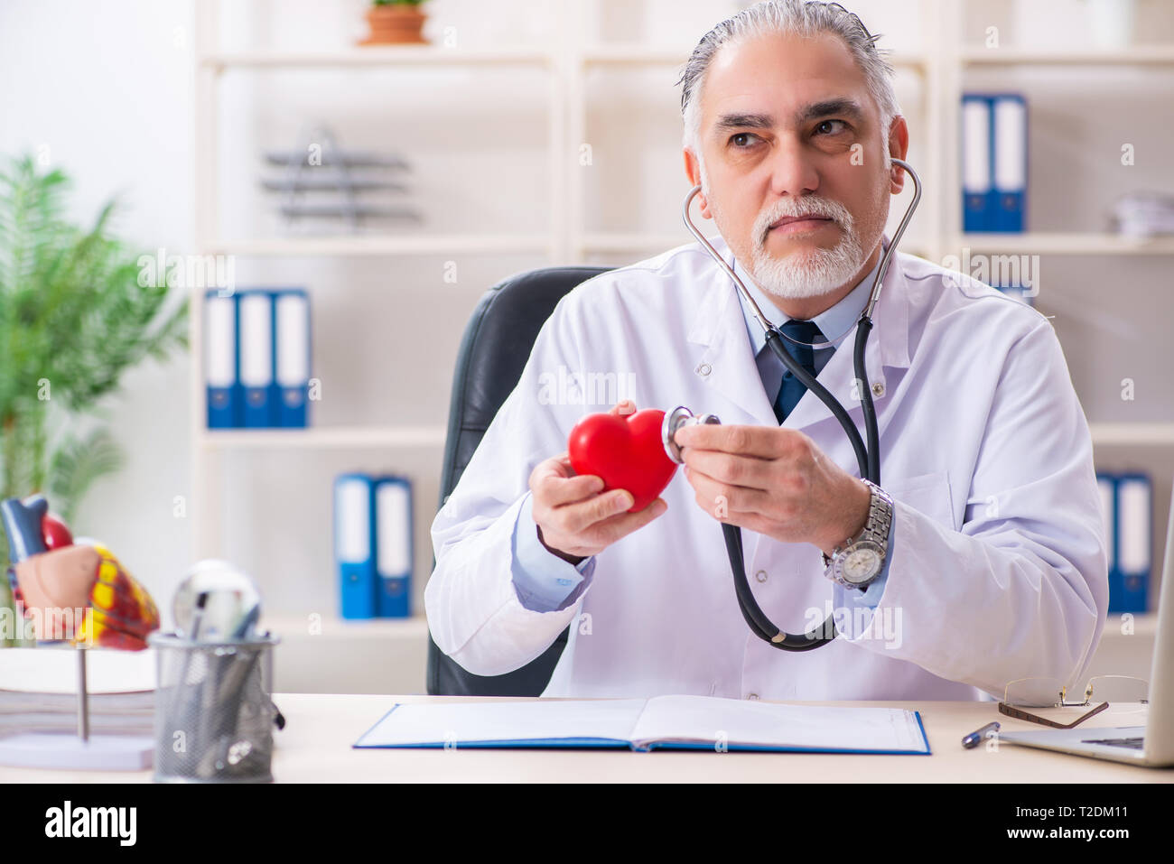 Aged male doctor cardiologist with heart model Stock Photo - Alamy