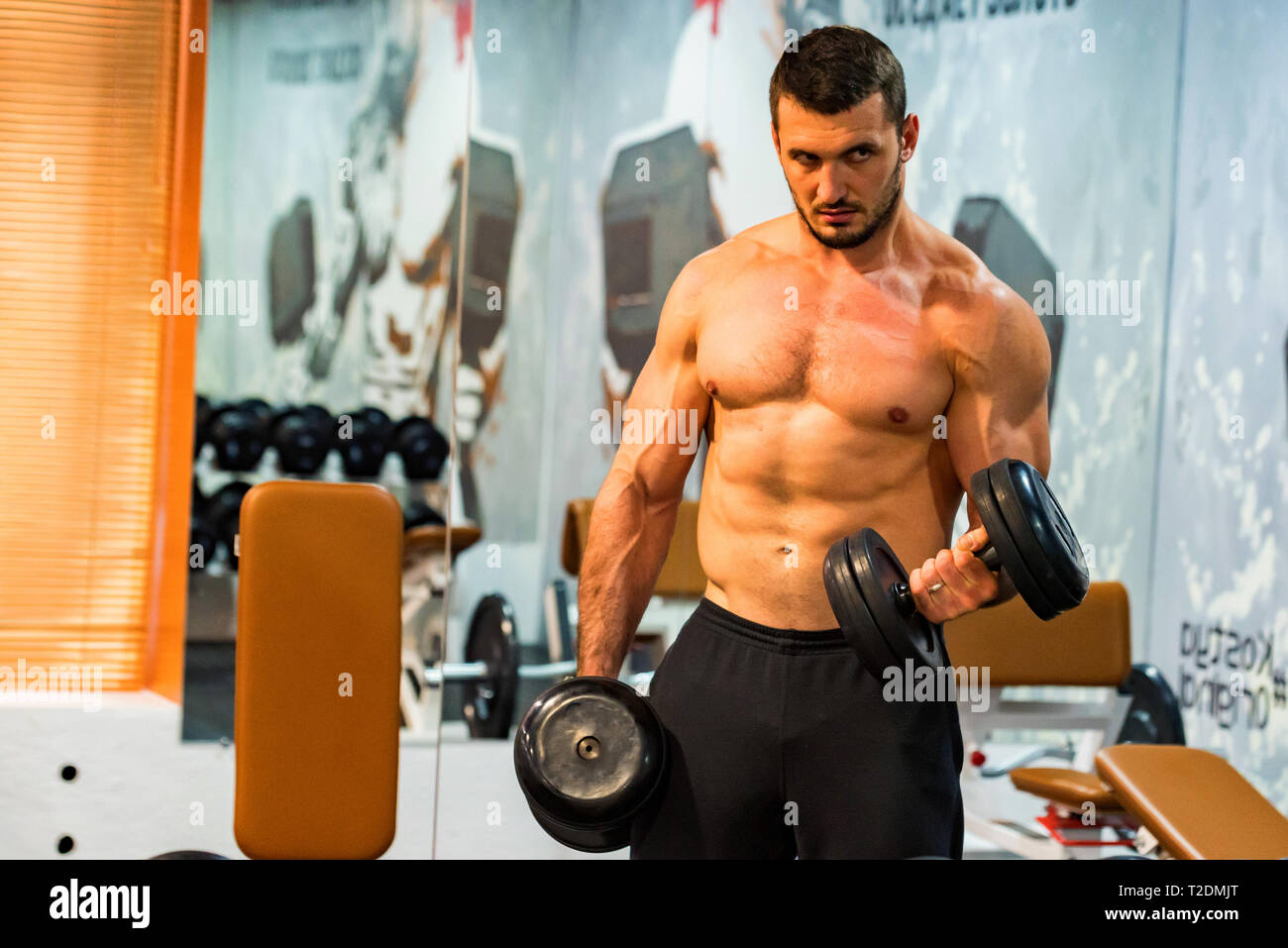 Bodybuilder trains biceps with dumbels. Fitness and crossfit concept ...