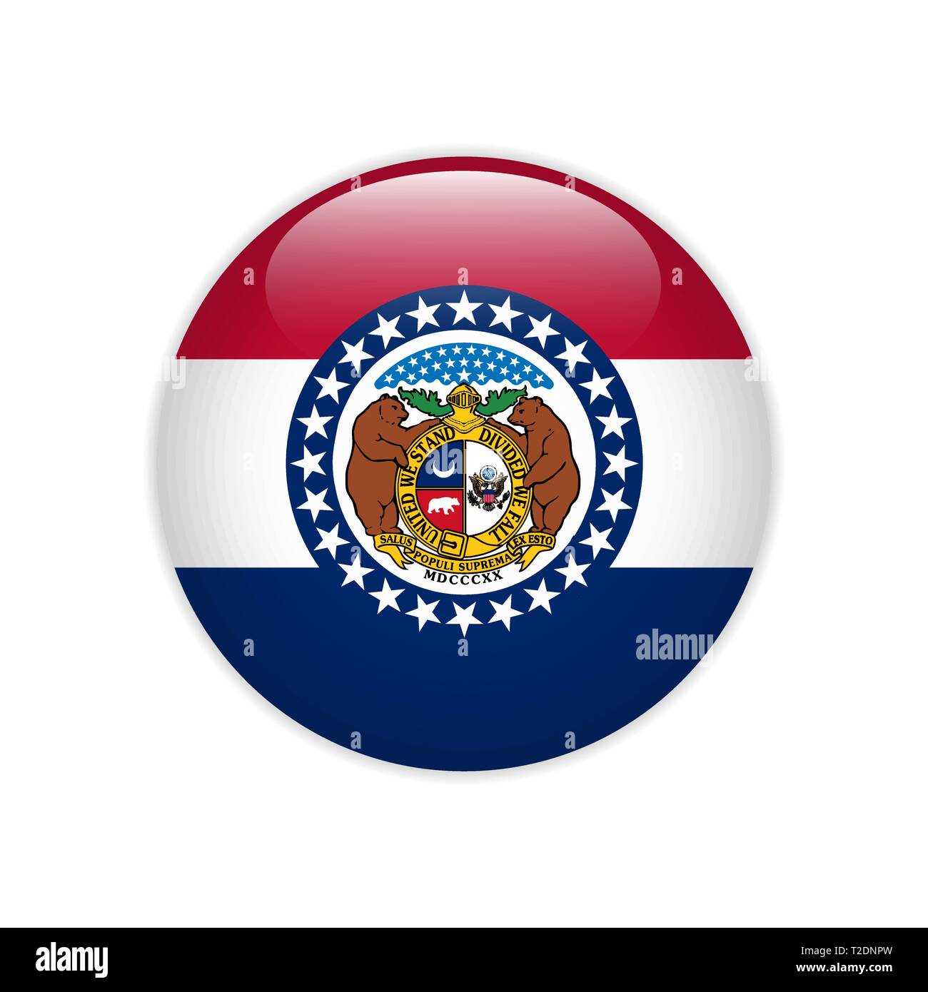 Country flag button web design Stock Vector Image & Art - Alamy