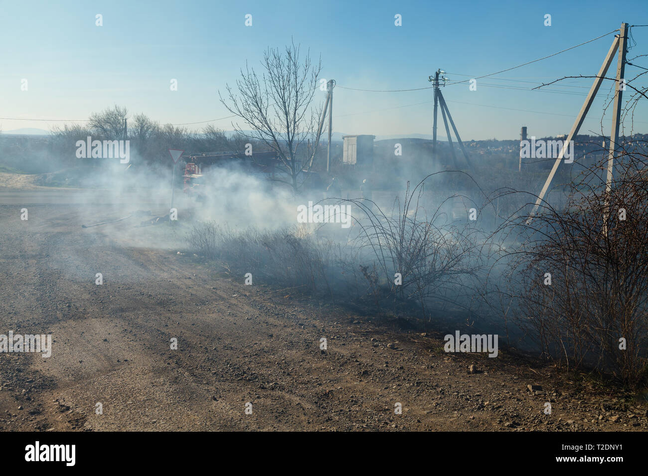 In early spring, fire spreads through dry vegetation, burning ...