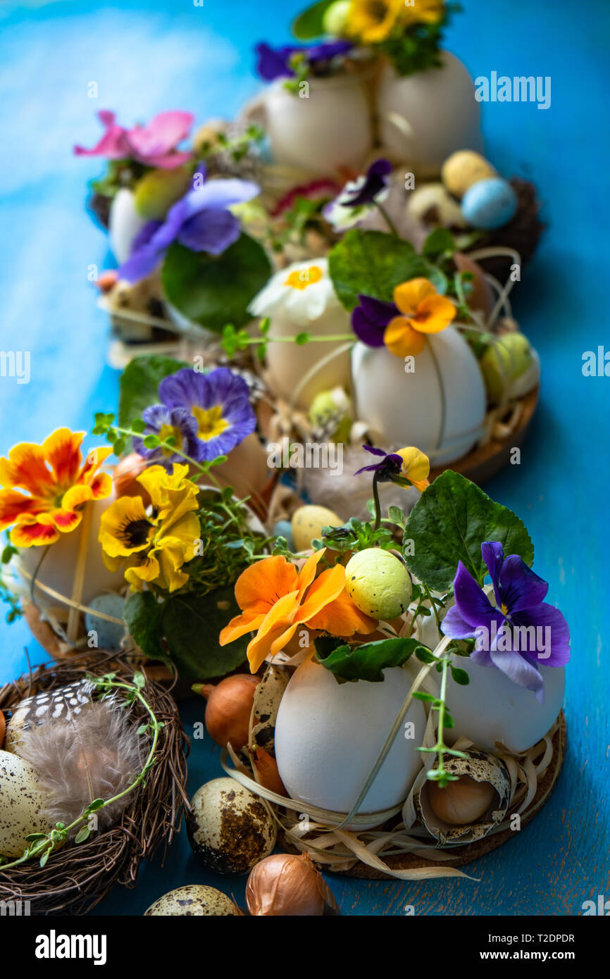 Easter holiday natural composition with first spring flowers like ...