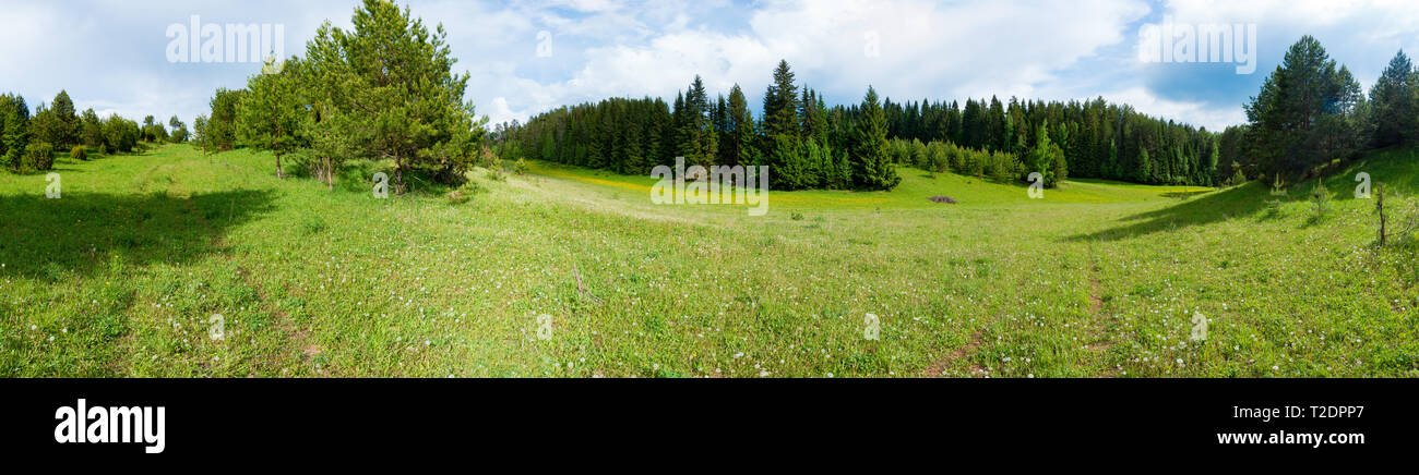 Panorama of rural field Stock Photo - Alamy