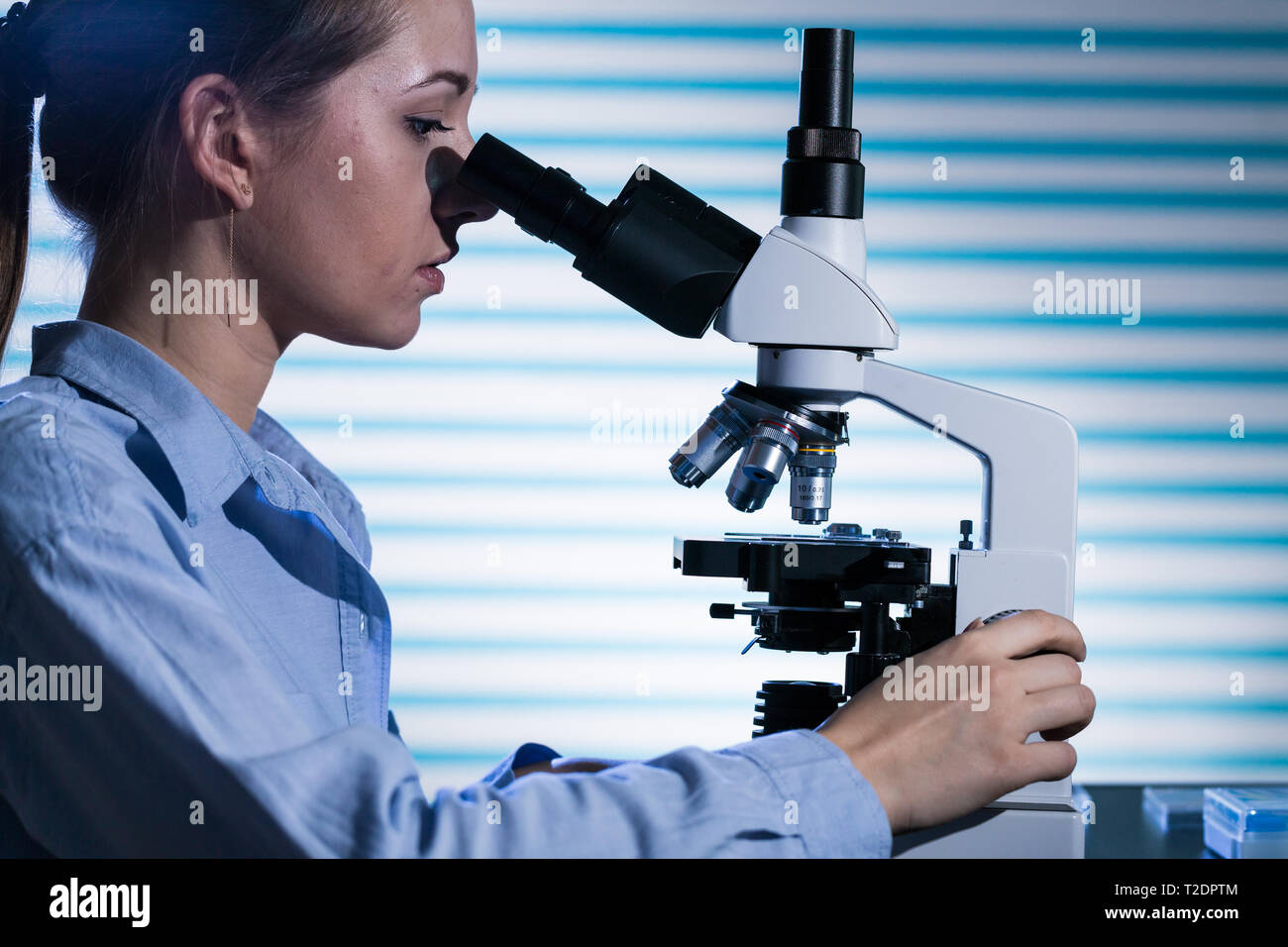 Young scientist using a microscope in a laboratory Stock Photo - Alamy