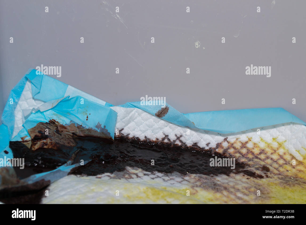 Melena hi-res stock photography and images - Alamy