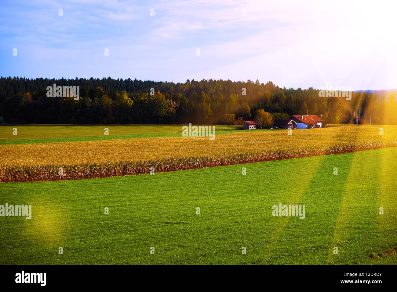 Bright rural landscape with country houses in the morning sun Stock ...
