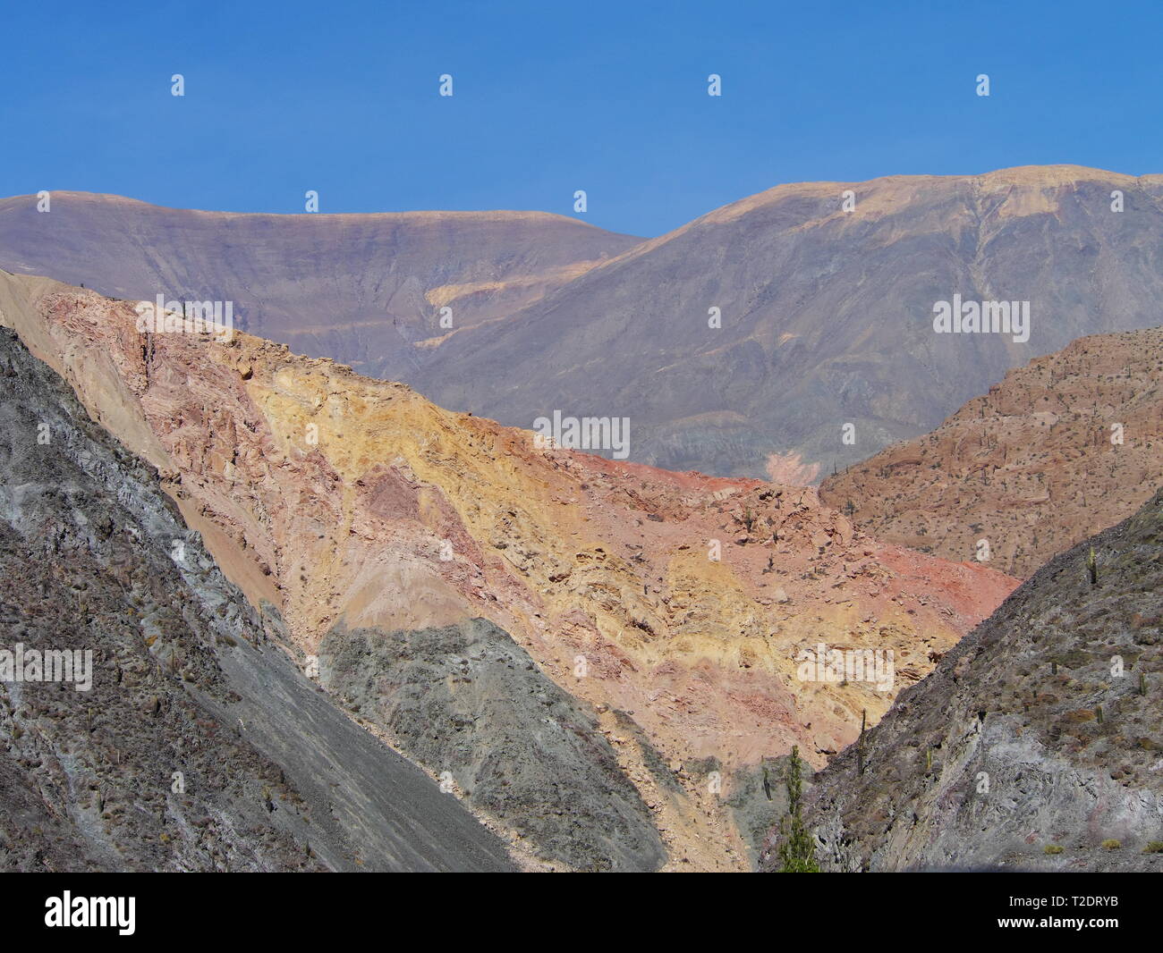 The scenic view of Quebrada del Toro, red rocks and cactus Stock Photo ...