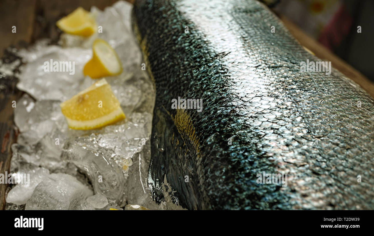 Iced fish processing hi-res stock photography and images - Alamy