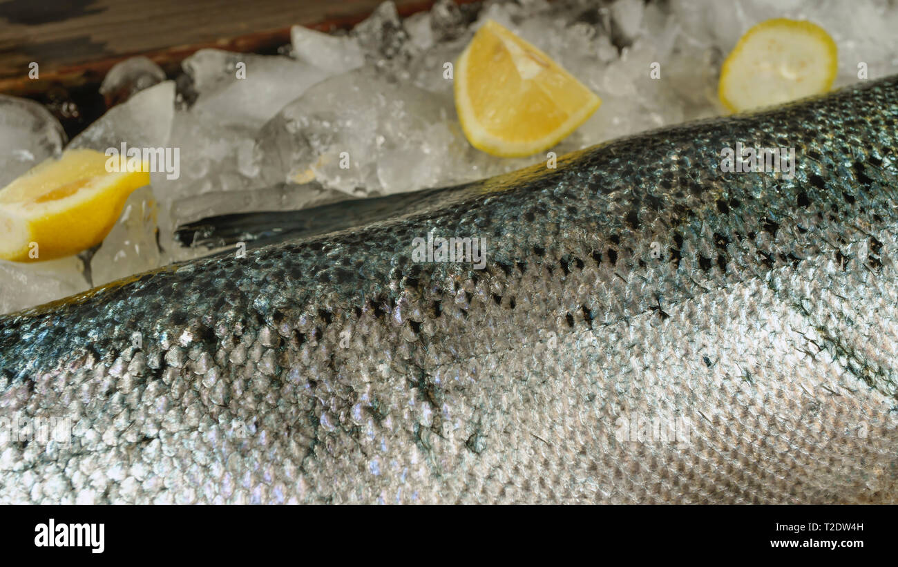 Salmon on ice in a fish store Stock Photo - Alamy