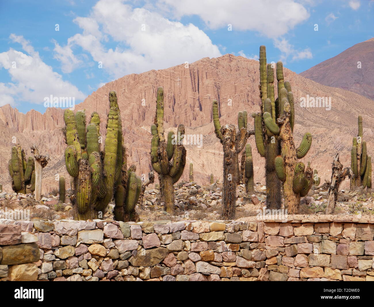 Red rocks and Inca ruins in Tilcara, Quebrada de Humahuaca, Argentina ...