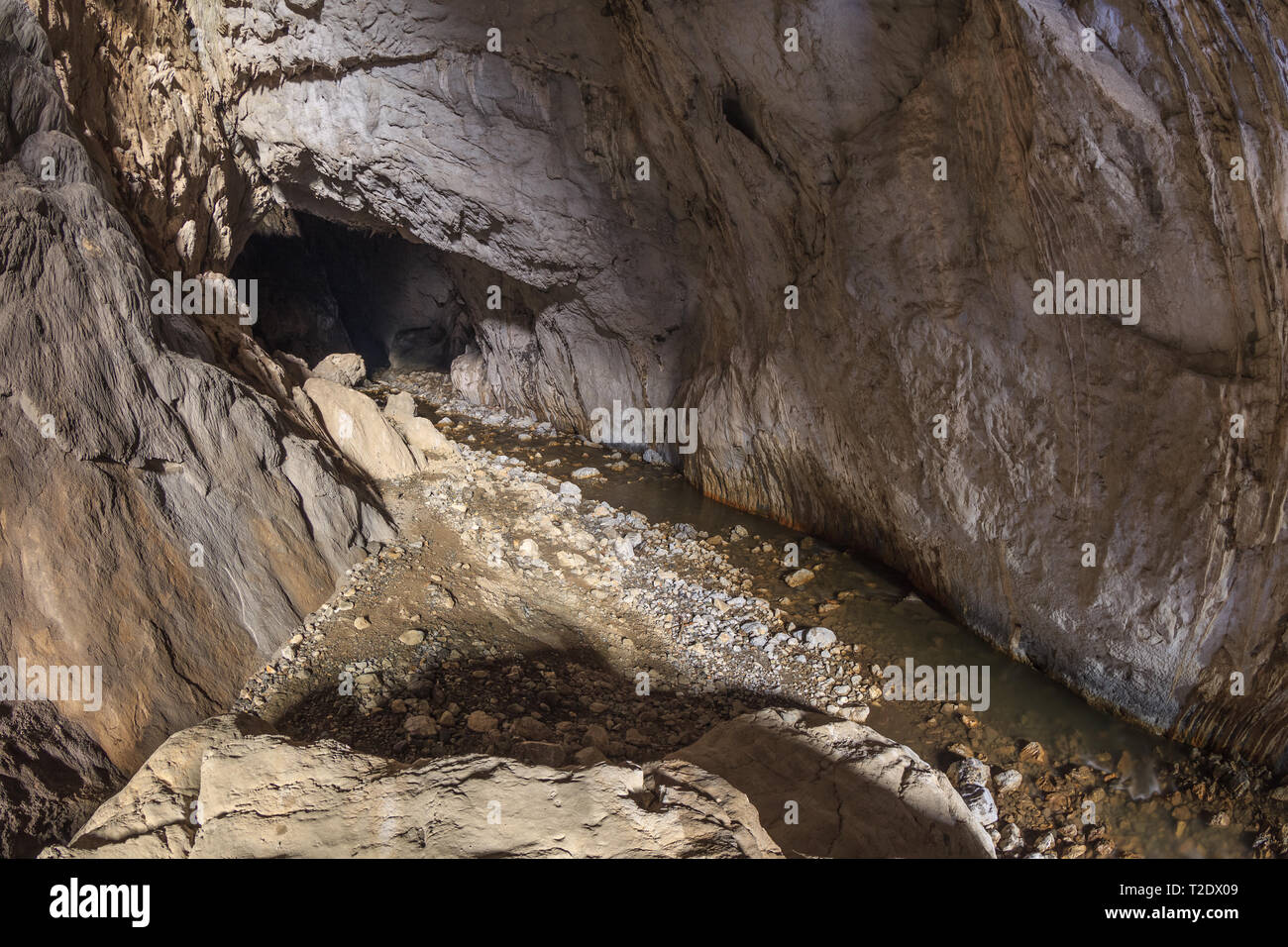 Ponicova cave entrance in the left bank of the Danube in Ciucaru Mare ...