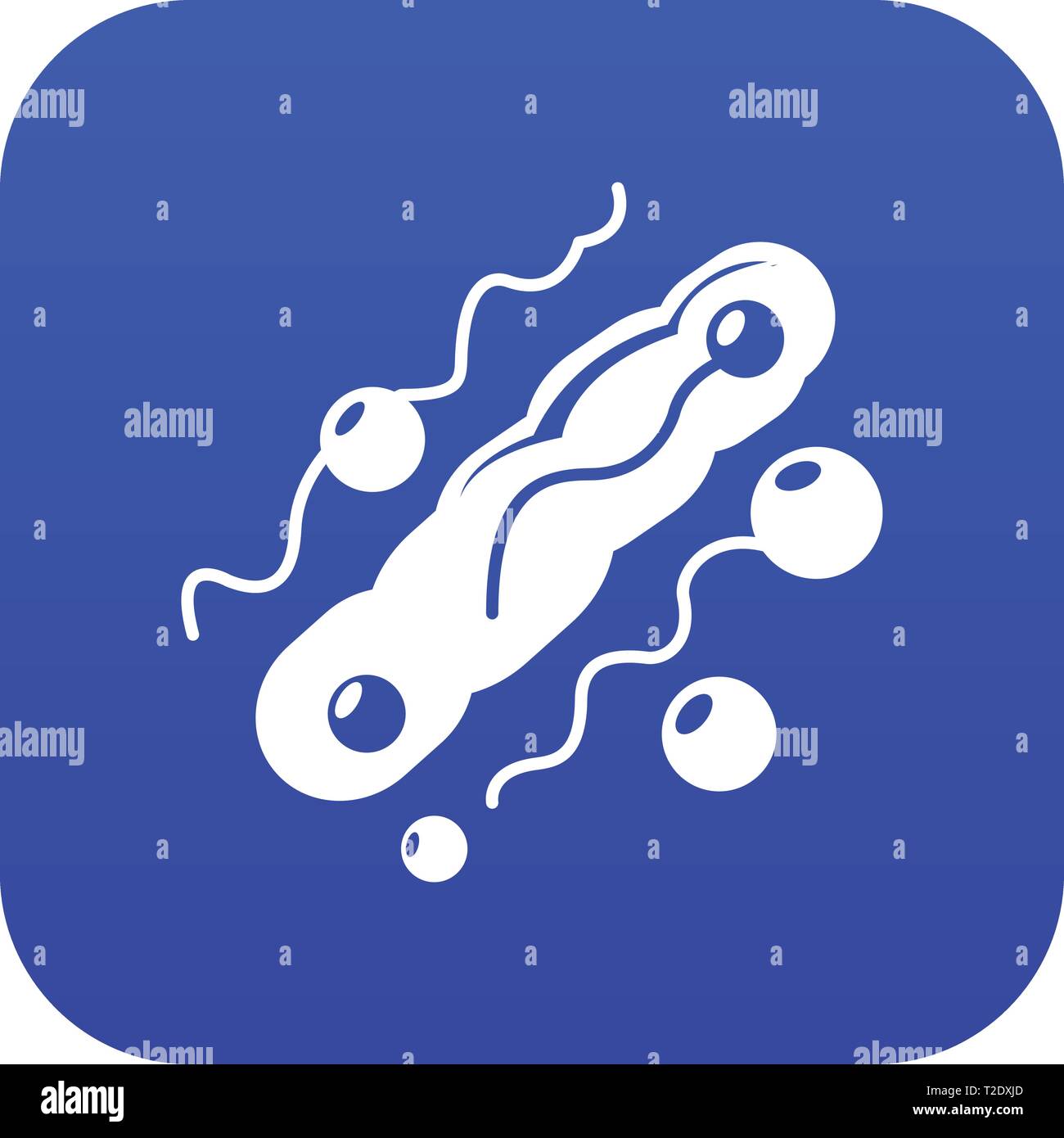 Corynebacterium icon blue vector Stock Vector Image & Art - Alamy