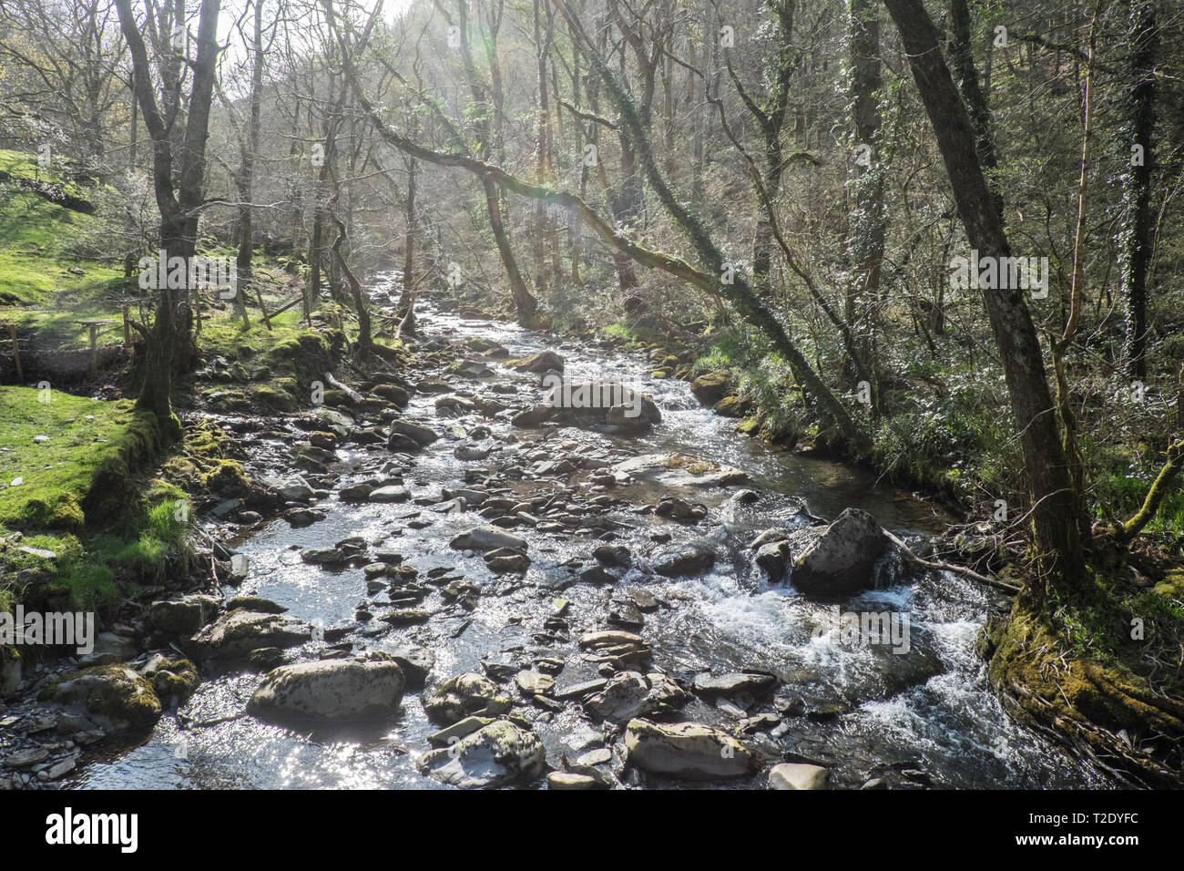 Hillside above Dovey/Dyfi,Dovey valley,Dyfi Valley, Valley estuary ...