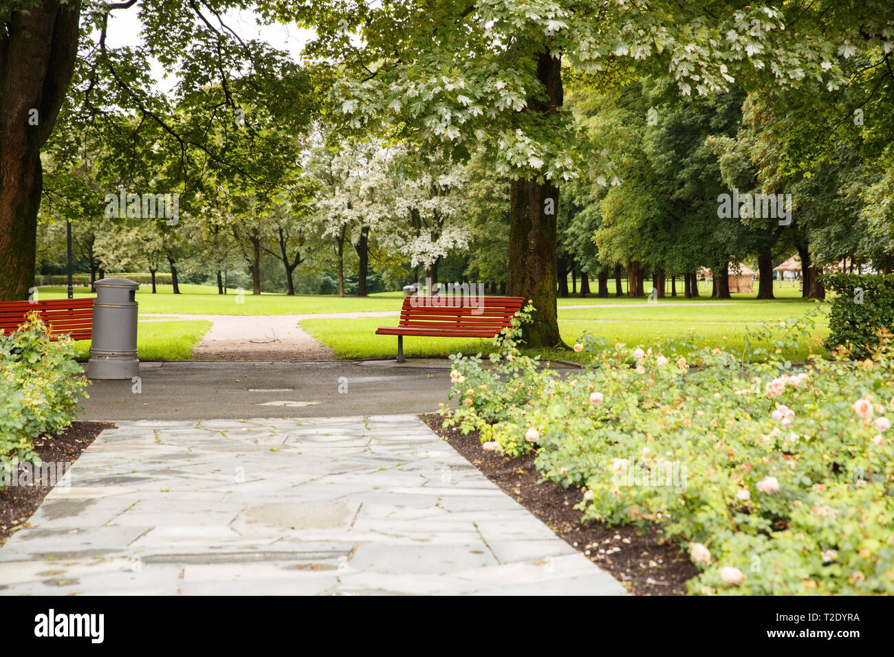 Trees in the park in Oslo, Norway Stock Photo - Alamy