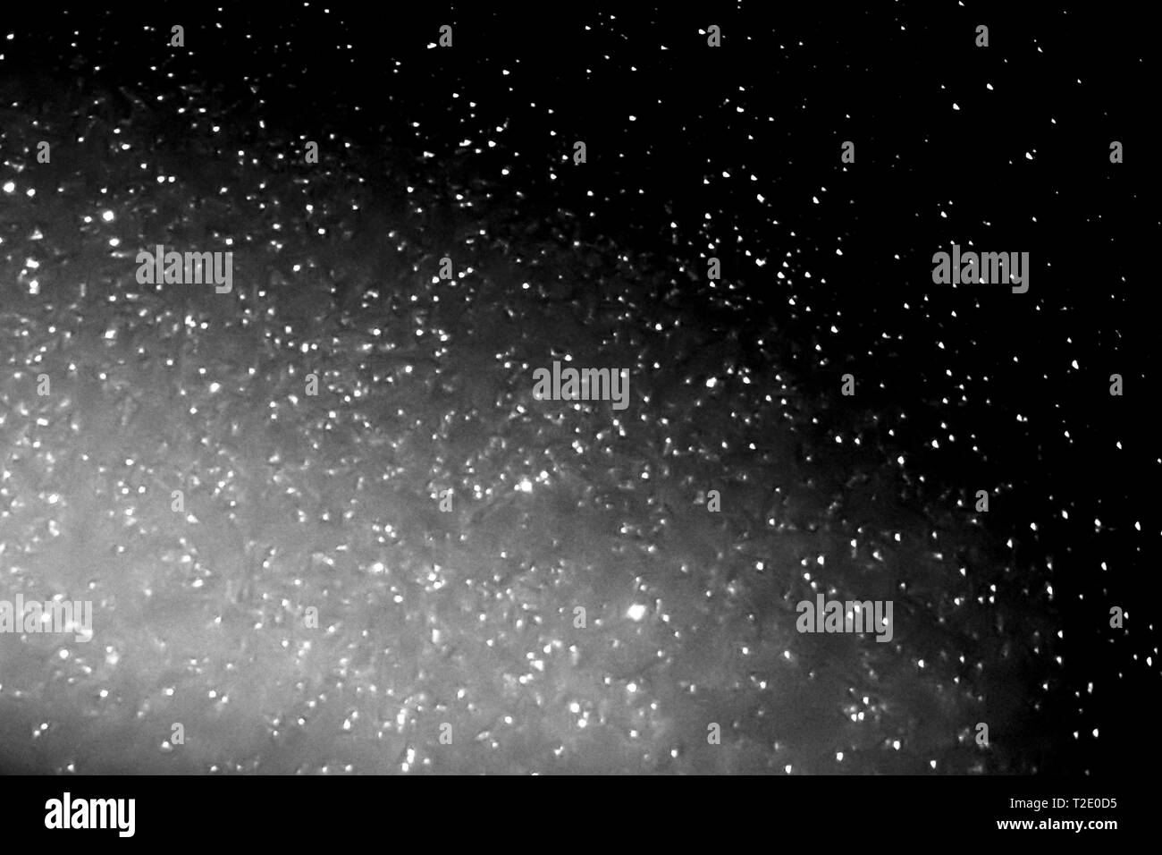 The Milky Way, our the galaxy. stars in the night sky, image stars ...