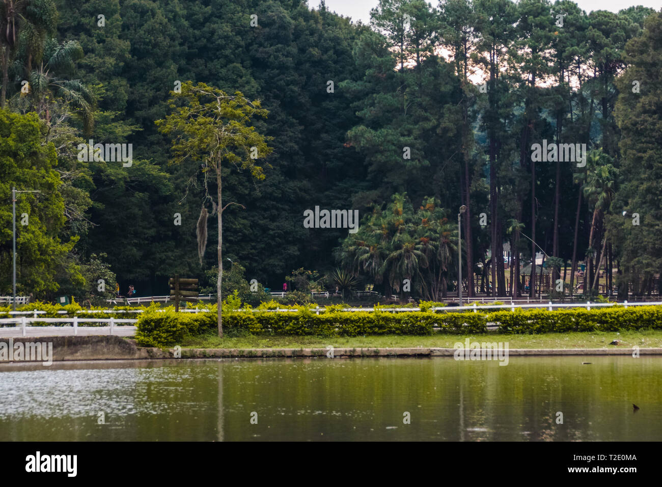 Horto florestal park hi-res stock photography and images - Alamy