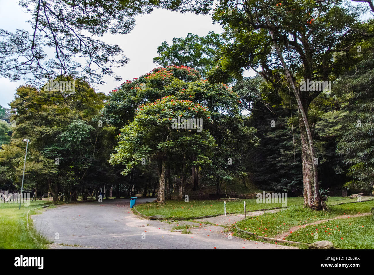 Sao paulo countryside hi-res stock photography and images - Alamy