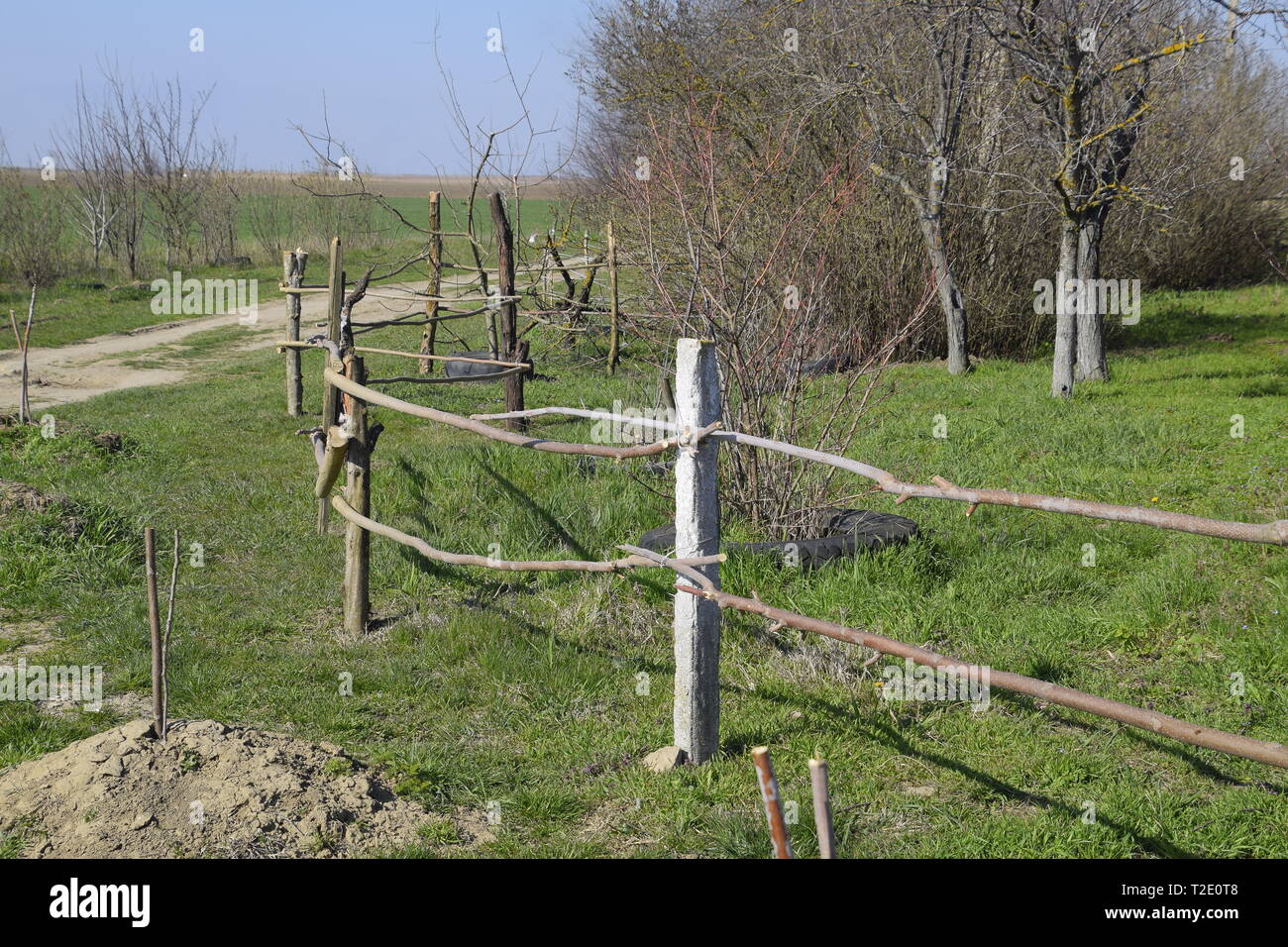 Wooden fence of two crossbars to protect trees from livestock Stock ...