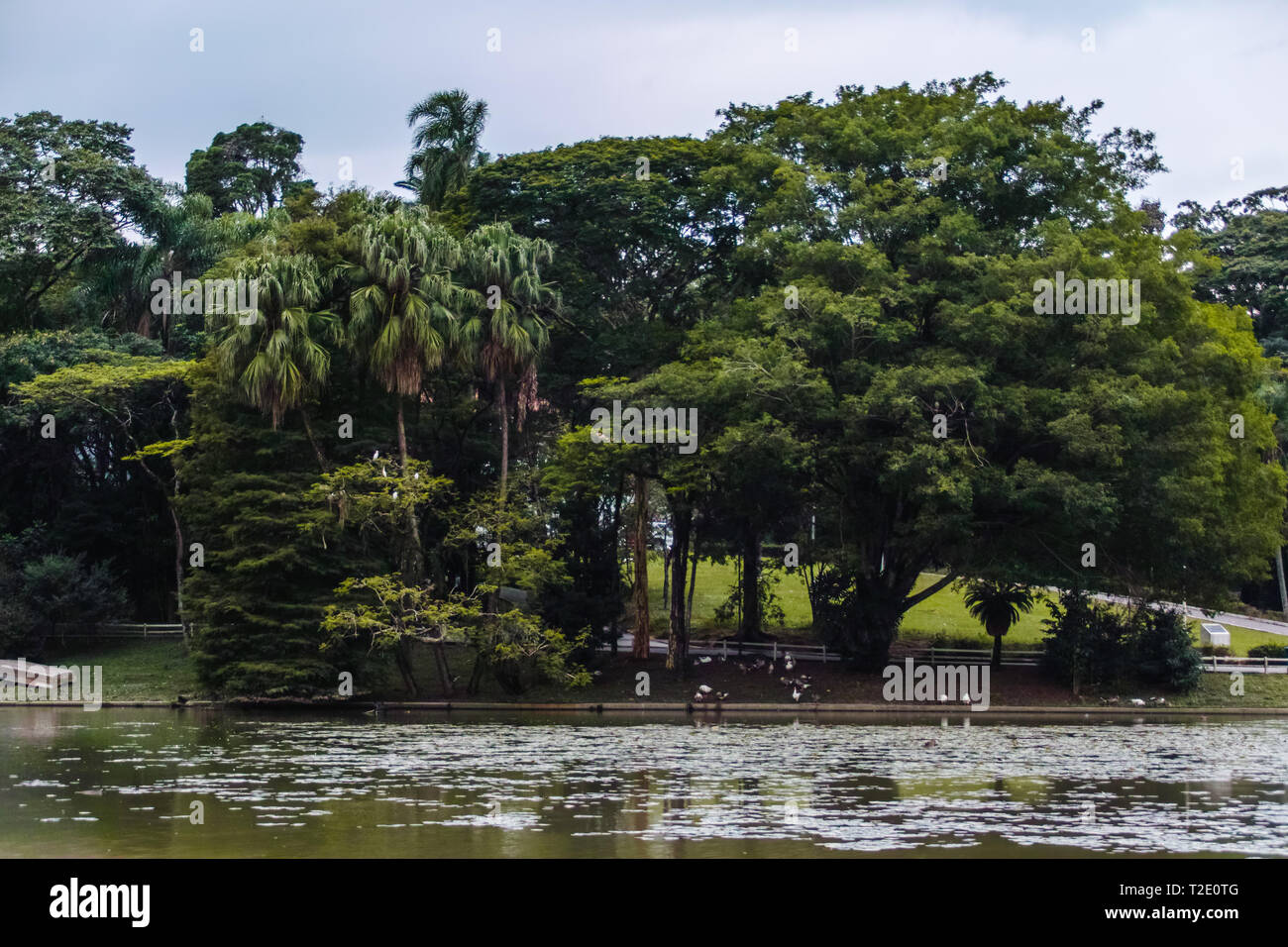 Horto florestal park hi-res stock photography and images - Alamy