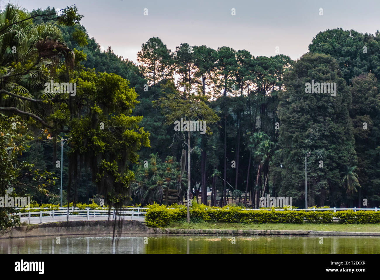 Horto florestal park hi-res stock photography and images - Alamy