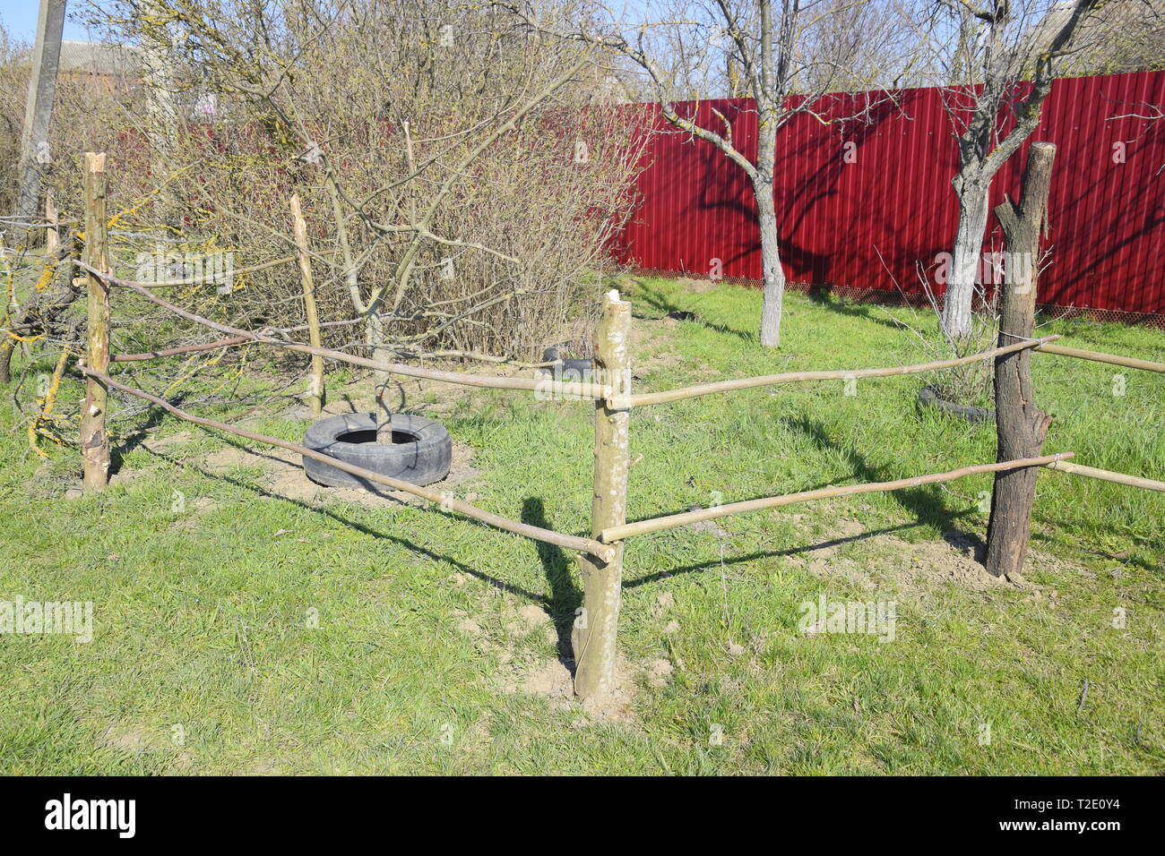 Wooden fence of two crossbars to protect trees from livestock Stock ...