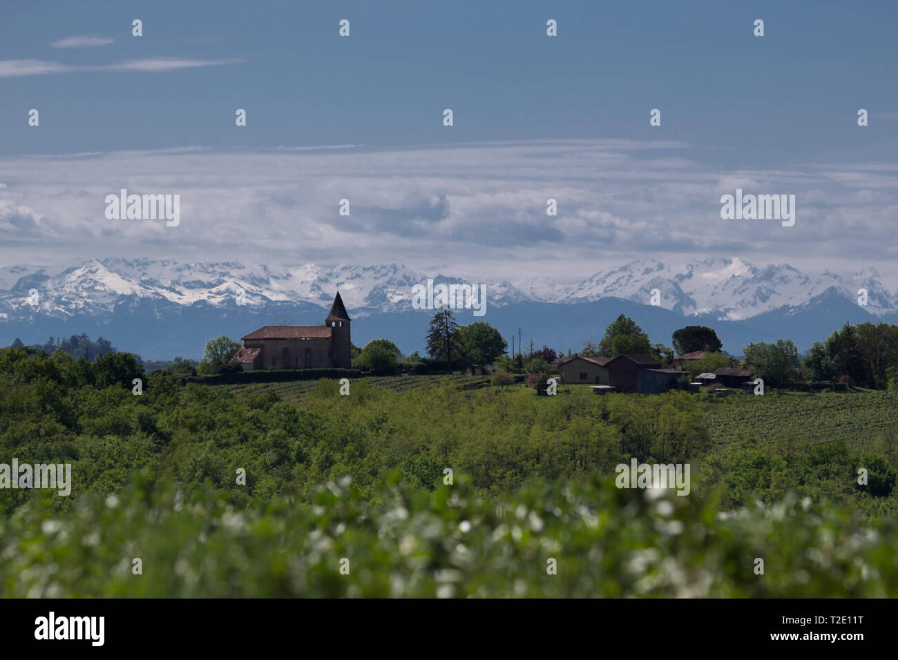 Views of the Pyrenees from Gers, France Stock Photo - Alamy