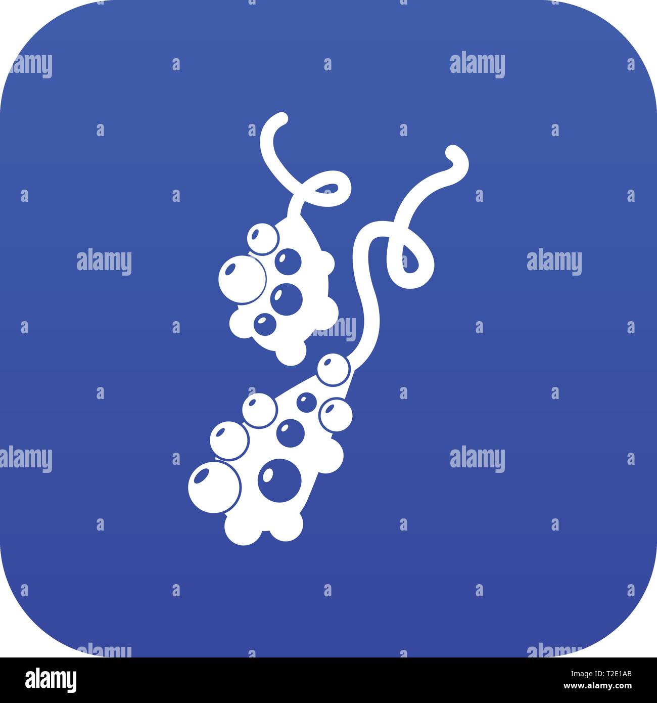 Coccus vibrio hi-res stock photography and images - Alamy