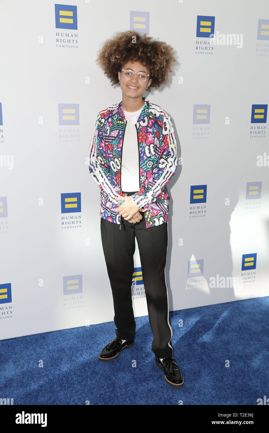 March 30, 2019 - U.S. - 30 March 2019 - Los Angeles, California - DJ ...