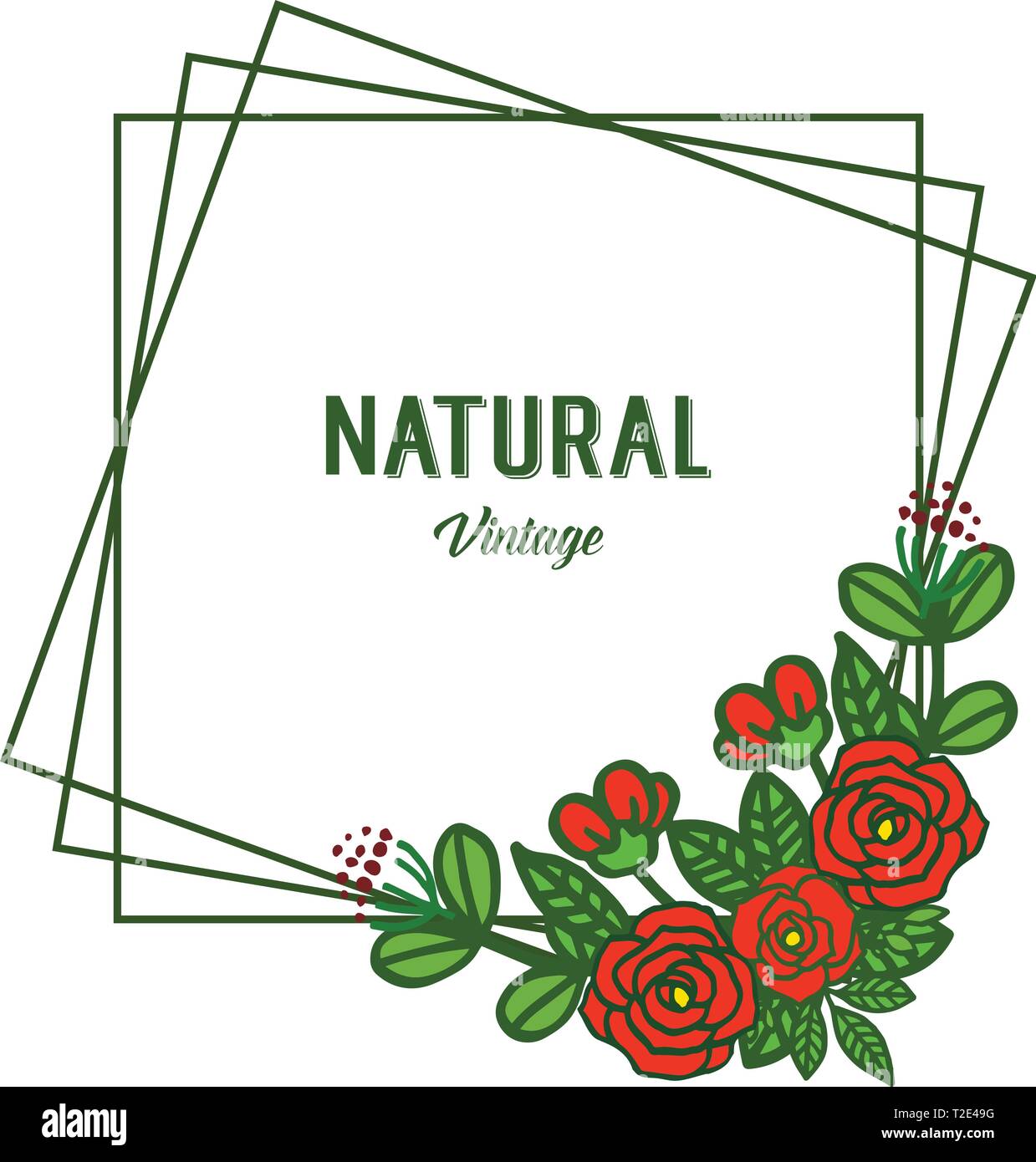 Vector illustration various style red rose flower frame for natural ...