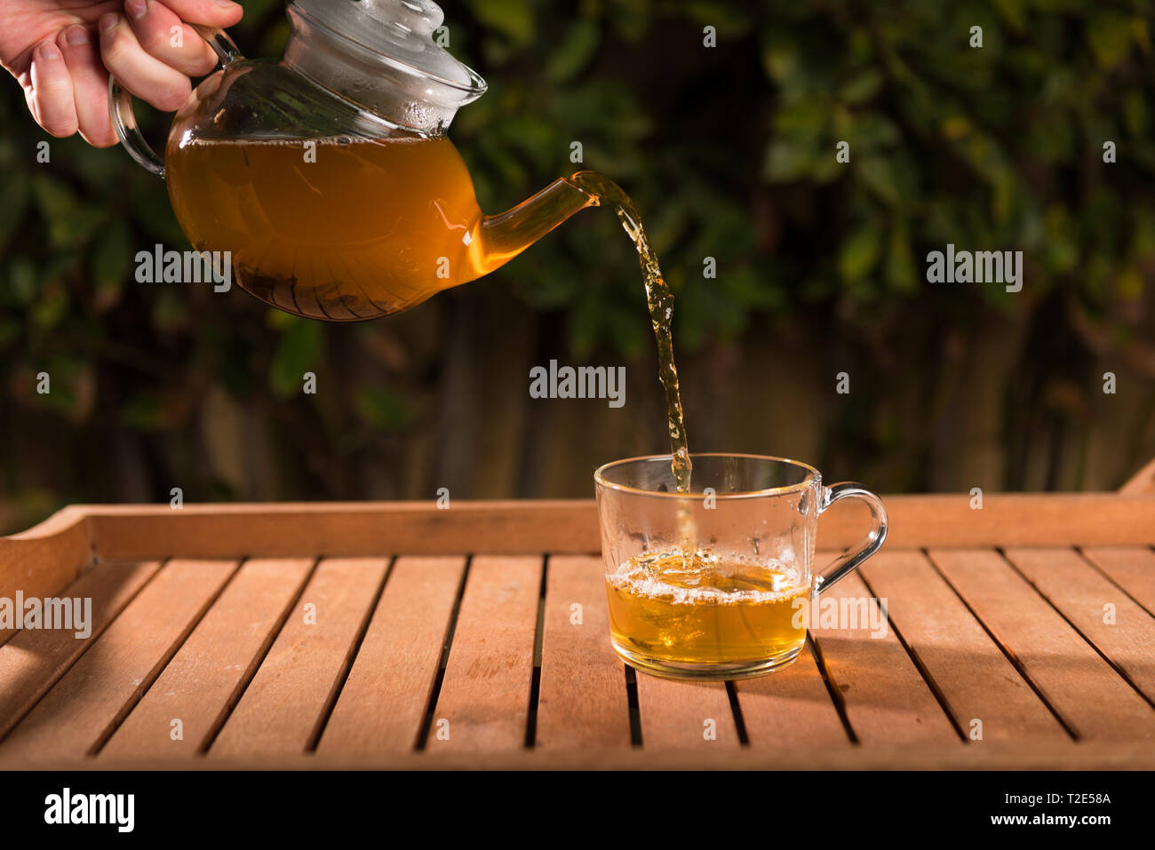 Pouring tea from teapot into a cup, natural background Stock Photo - Alamy