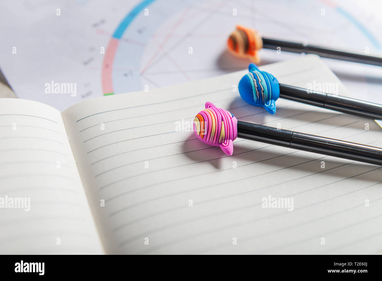 Open Notebooks for writing ideas and astrological birth natal chart ...