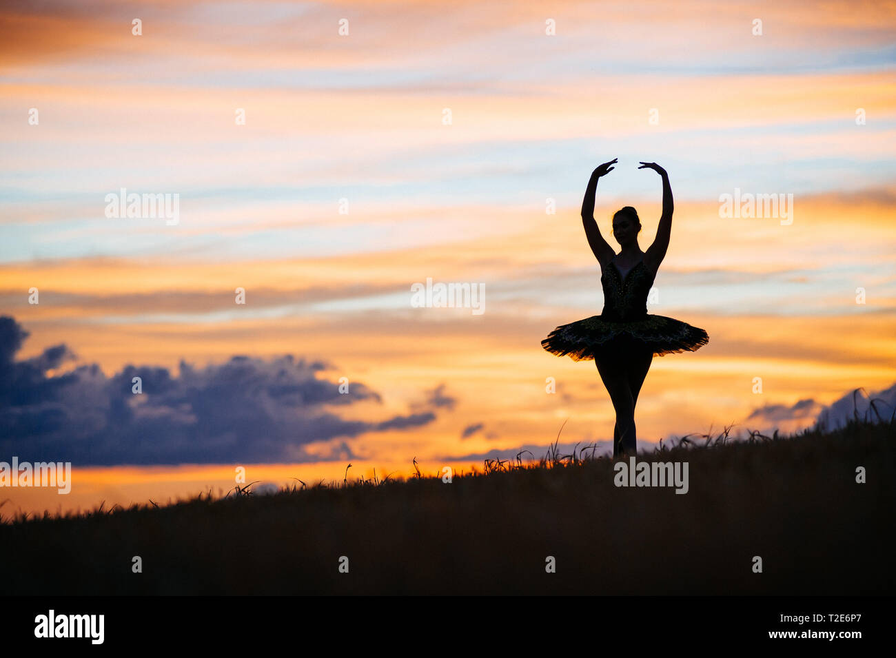 Silhouette of Ballet dancer posing against sunset in a Tutu Stock Photo ...