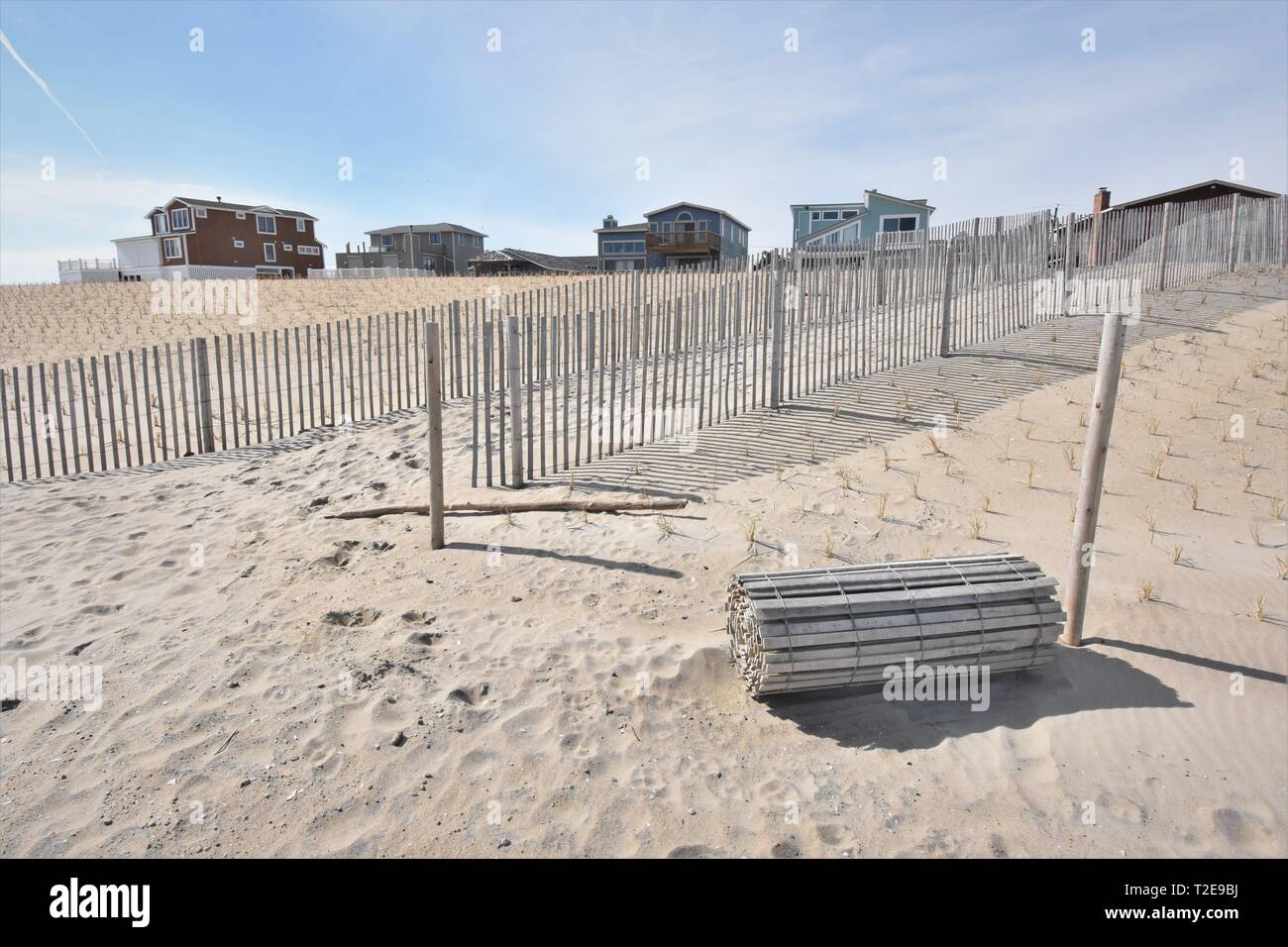 Wind fences for erosion control on the Maryland east shore for ...