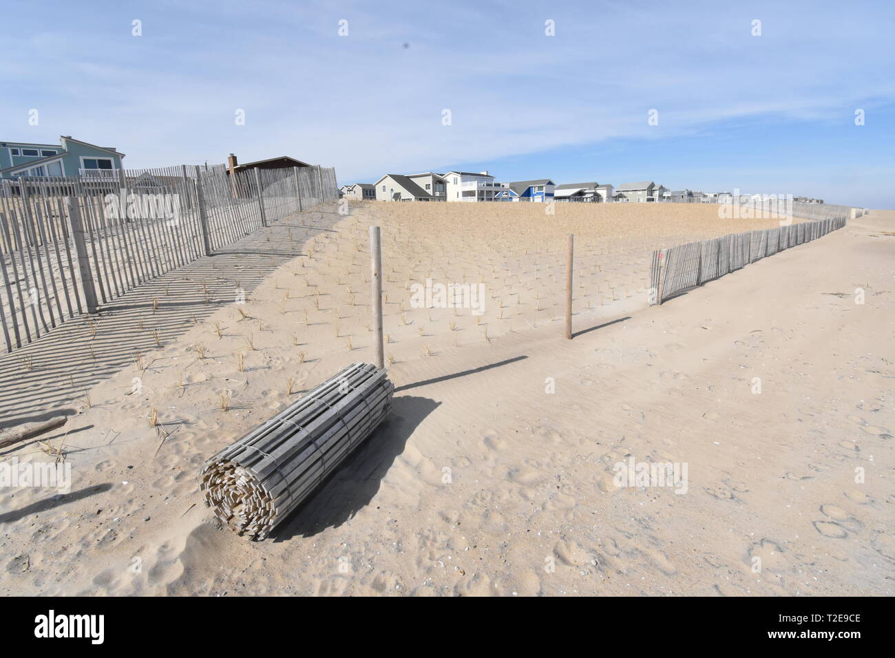 Wind fences for erosion control on the Maryland east shore for ...