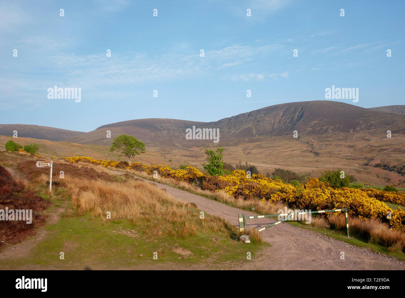 Walking moutains comeragh hi-res stock photography and images - Alamy