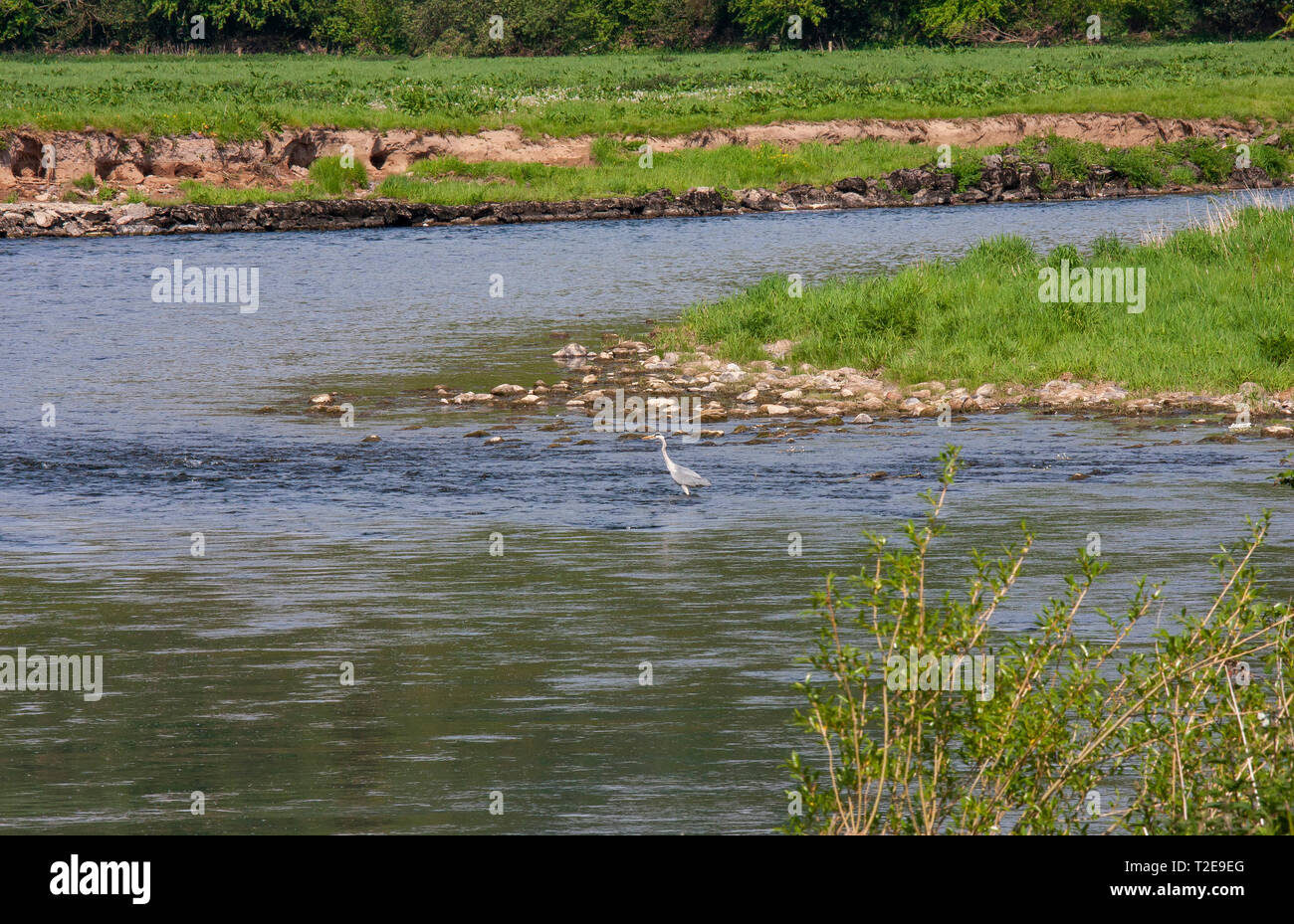 Blackwater river waterford hi-res stock photography and images - Alamy