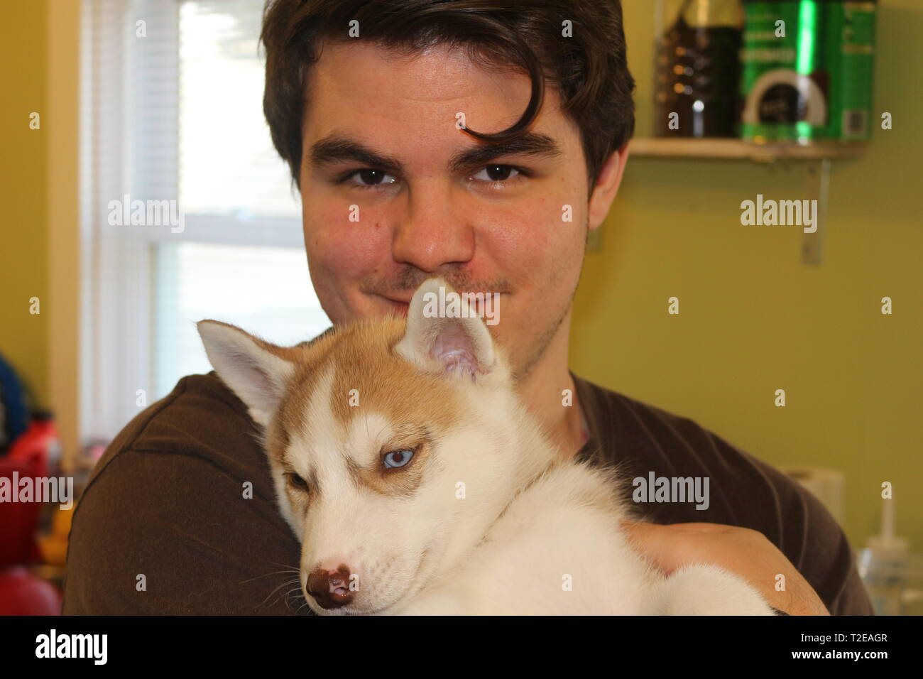 Profile of a owner with his cute puppy husky dog, holdings and hugs in ...