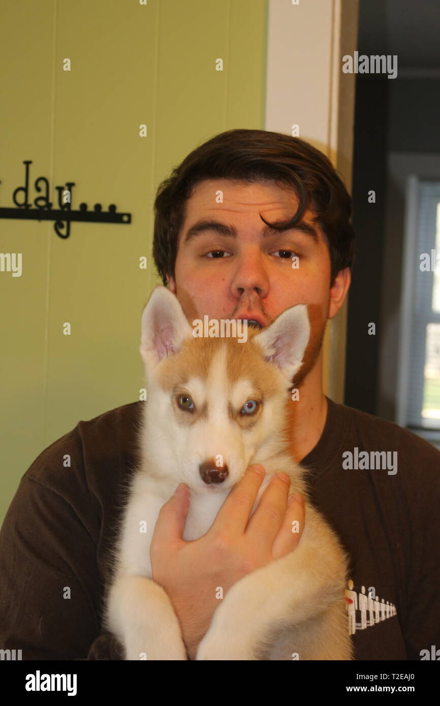 Profile of a owner with his cute puppy husky dog, holdings and hugs in ...
